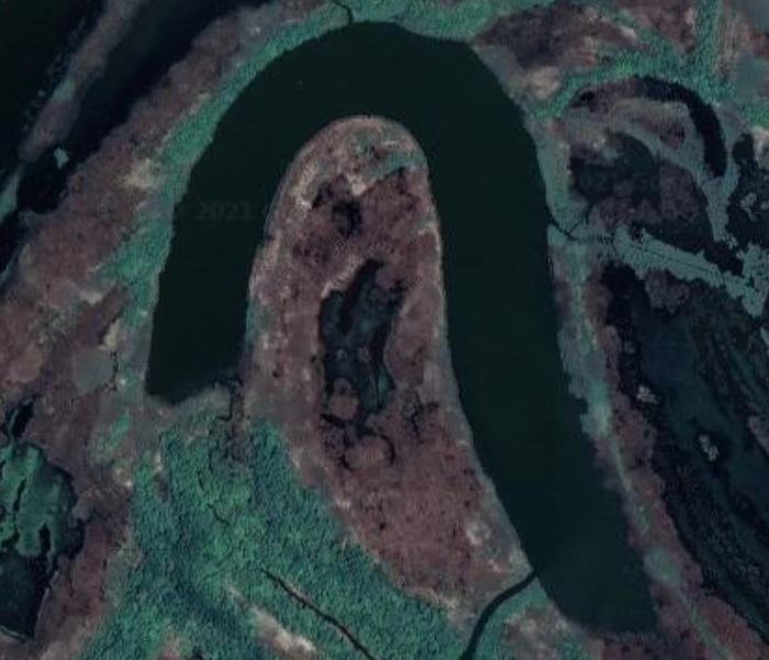 NAGY-MOROTVA :: Tisza-tó élővilága